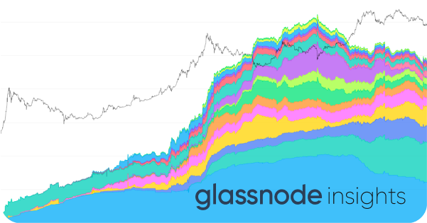 Glassnode Insights - Product