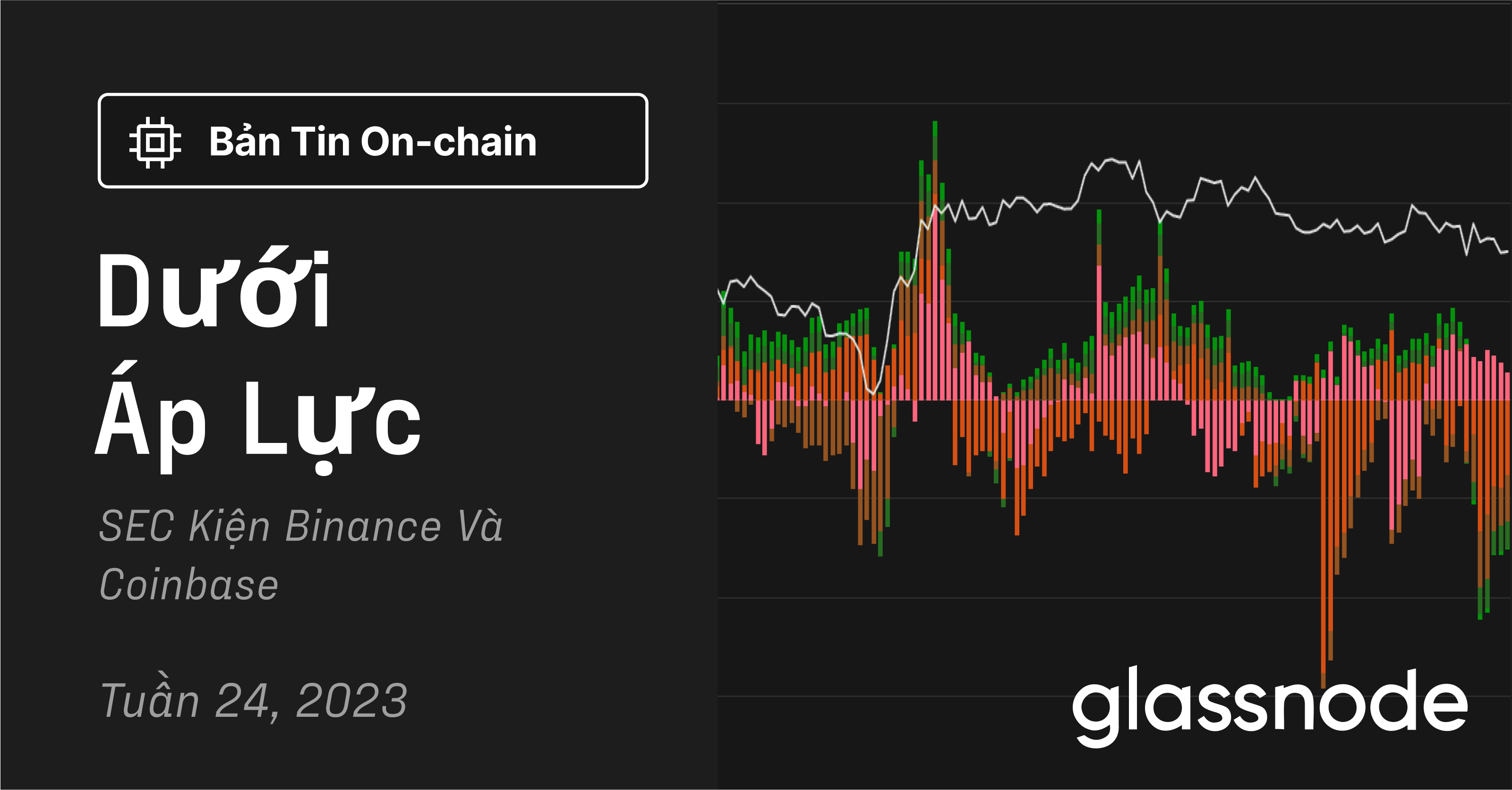 Dưới Áp Lực: SEC Kiện Binance Và Coinbase