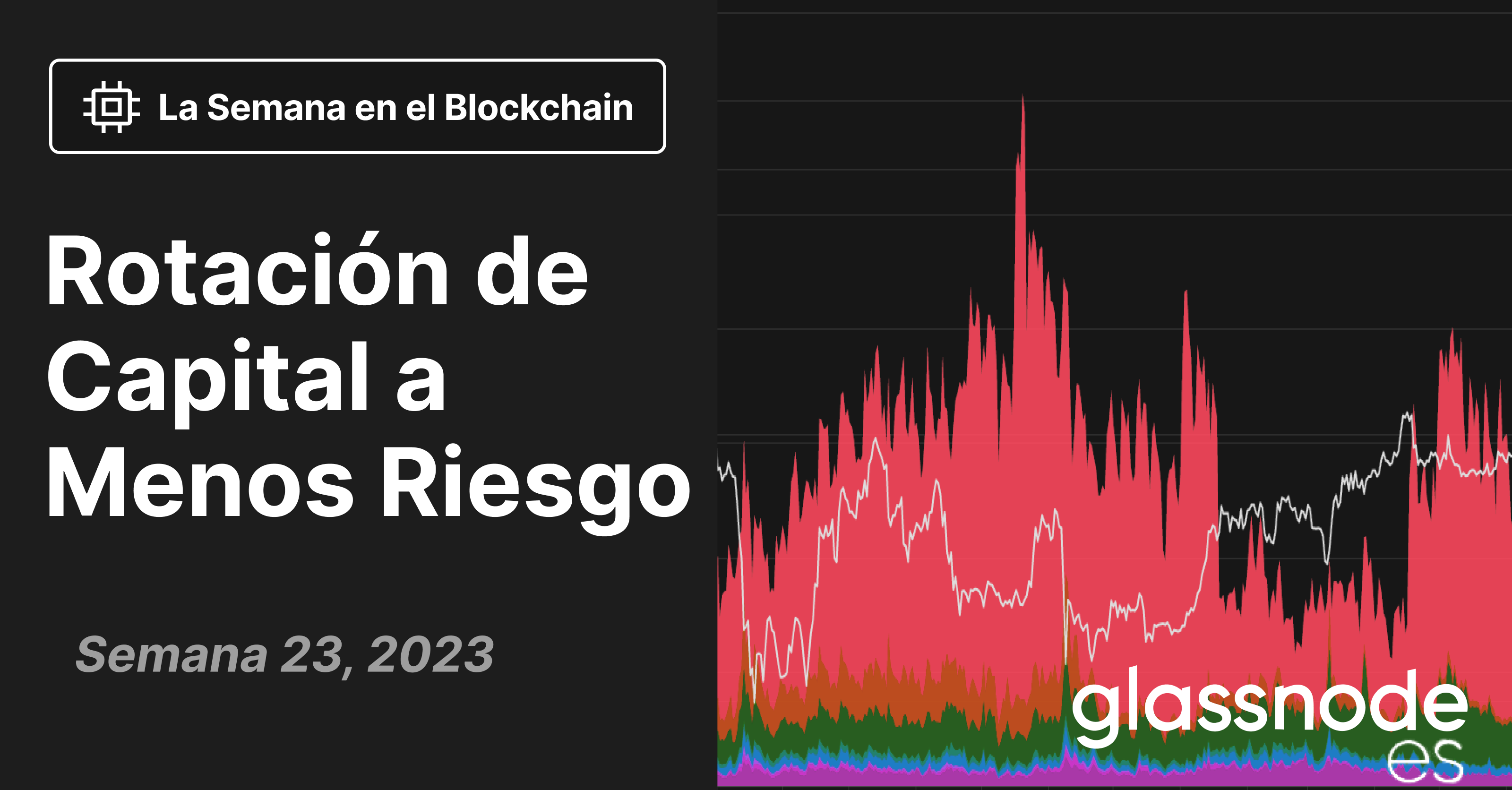 Rotación de Capital para Evadir Riesgos