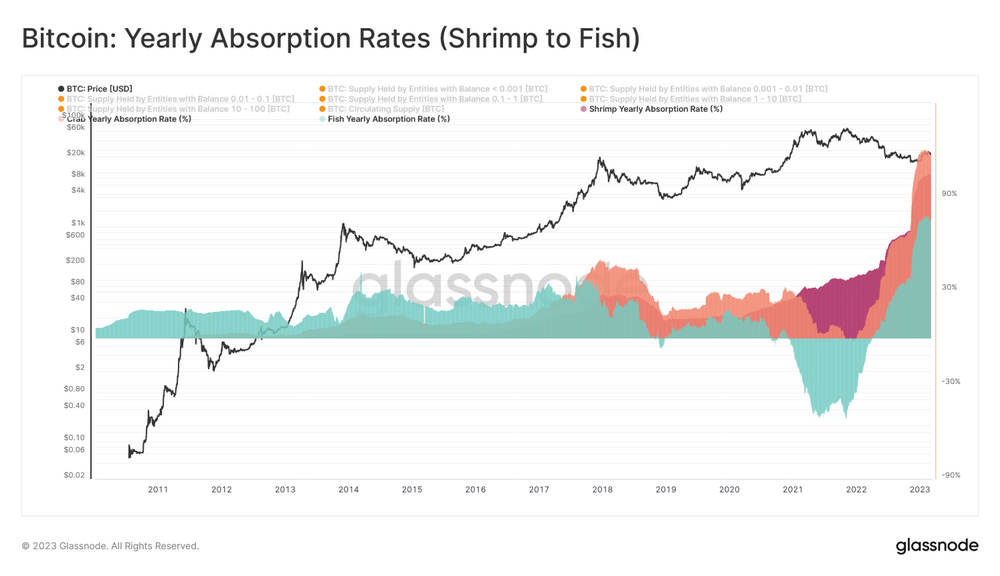 The Shrimp Supply Sink: Revisiting the Distribution of Bitcoin Supply