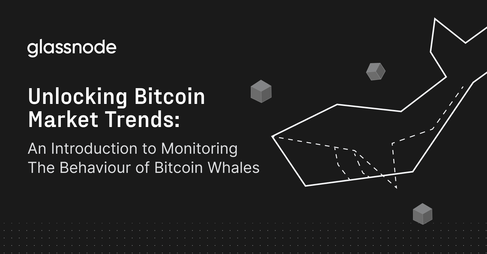 Unlocking Bitcoin Trends: Monitor Bitcoin Whale Behaviour