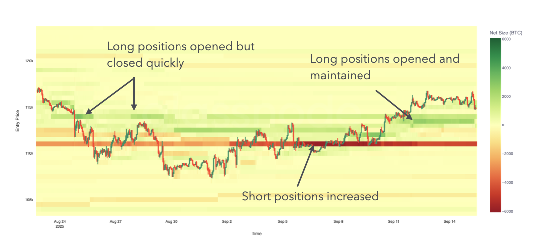 Pressure Points: Liquidation Heatmaps & Market Bias
