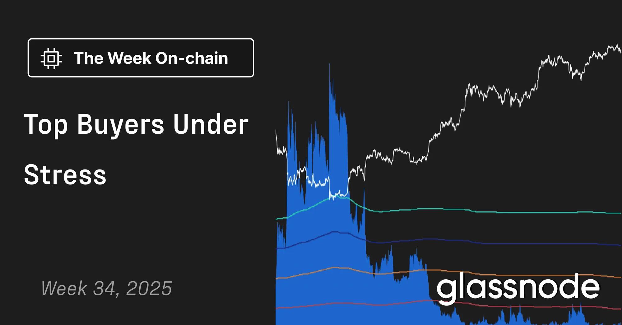 Glassnode Insights - On-Chain Market Intelligence