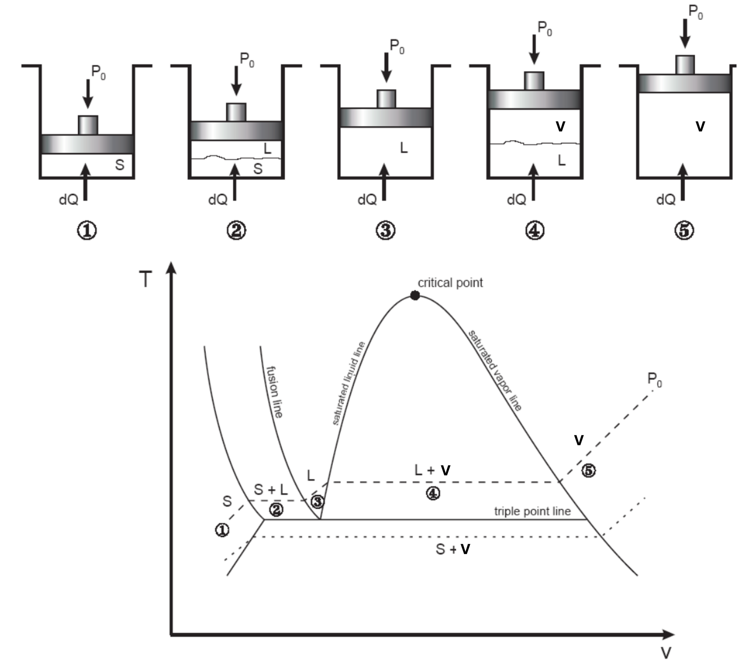 Market Pulse: Vapour-liquid Equilibrium and Bitcoin Cycles
