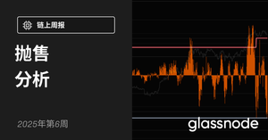 Chinese - Glassnode Insights - On-Chain Market Intelligence