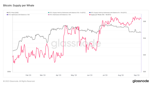 The Ultimate Guide to Bitcoin Whales