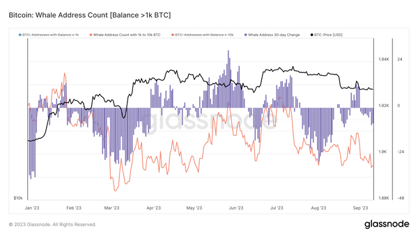 The Ultimate Guide to Bitcoin Whales