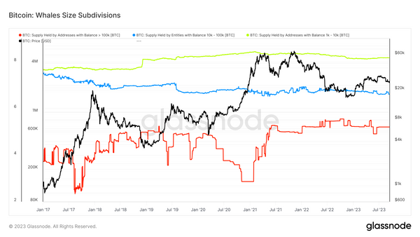 The Ultimate Guide to Bitcoin Whales